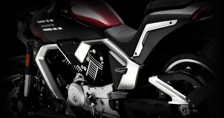 GAOKIN THOR 1000 — ПЕРВЫЙ ВЕТЕРР — Официальный дилер